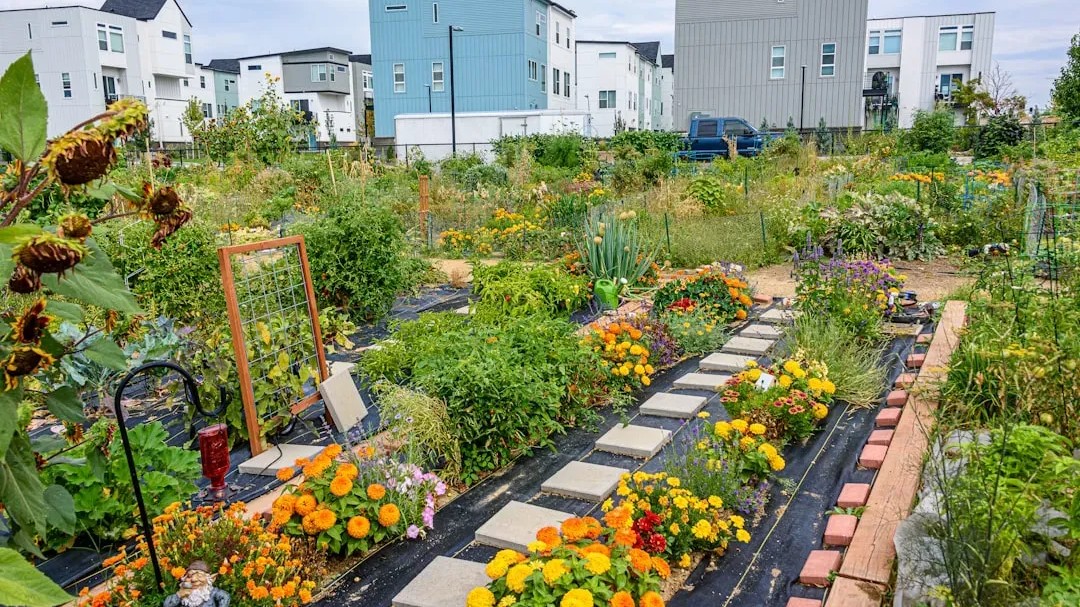 From Seed to Table: The Immense Satisfaction of Growing Your Own Dinner ...